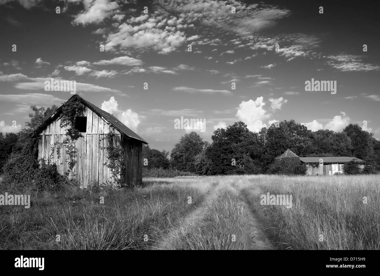 Barn and shack in a field, Arkansas, USA Stock Photo - Alamy