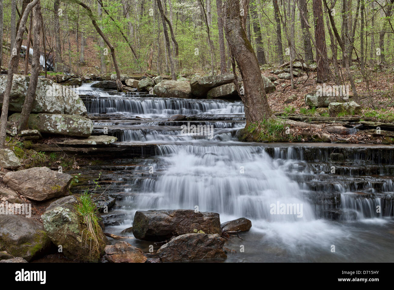 Cascades waterfall at collins creek hi-res stock photography and images ...