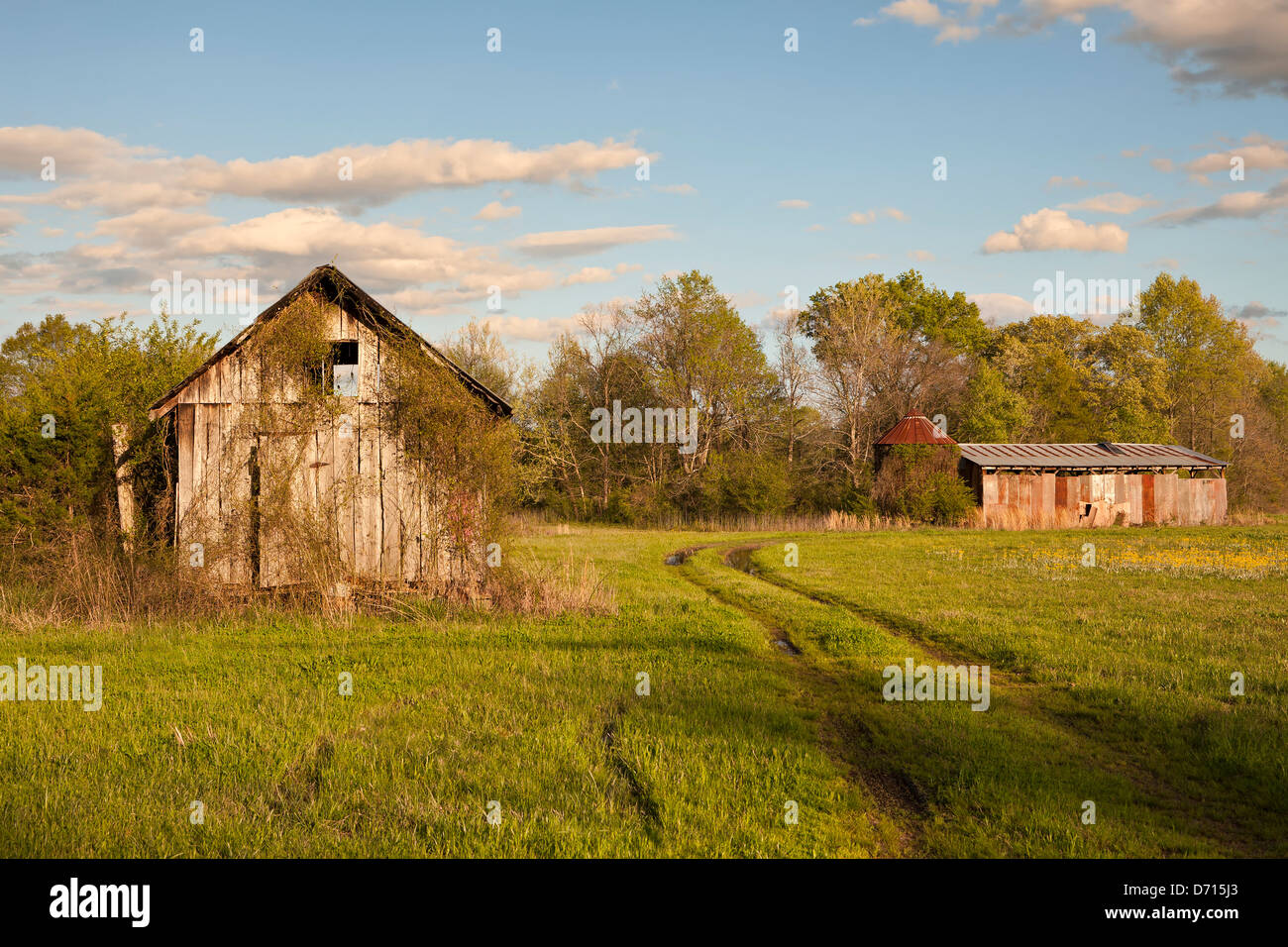 Old shack and barn in a field, Arkansas, USA Stock Photo - Alamy