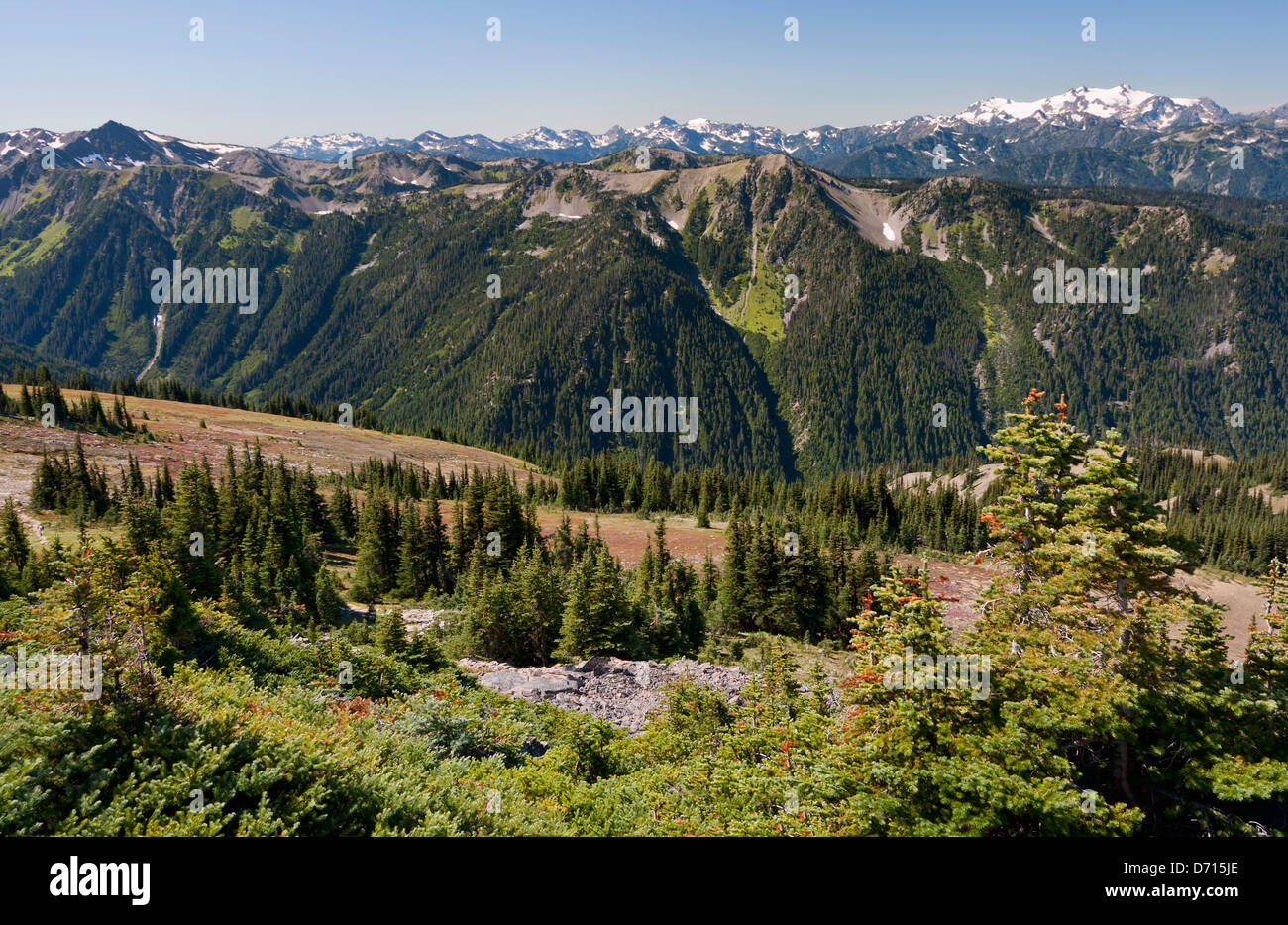 The Olympic Mountains from Hurricane Ridge, WA Stock Photo - Alamy