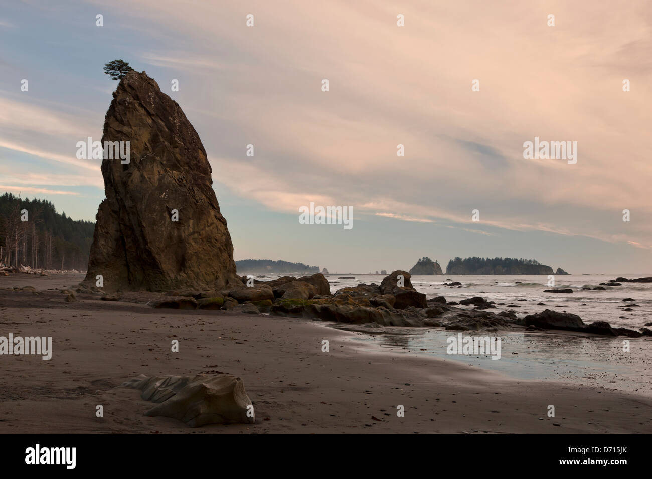 Sea Stacks at the Sea Shore, Rialto Beach, WA Stock Photo - Alamy