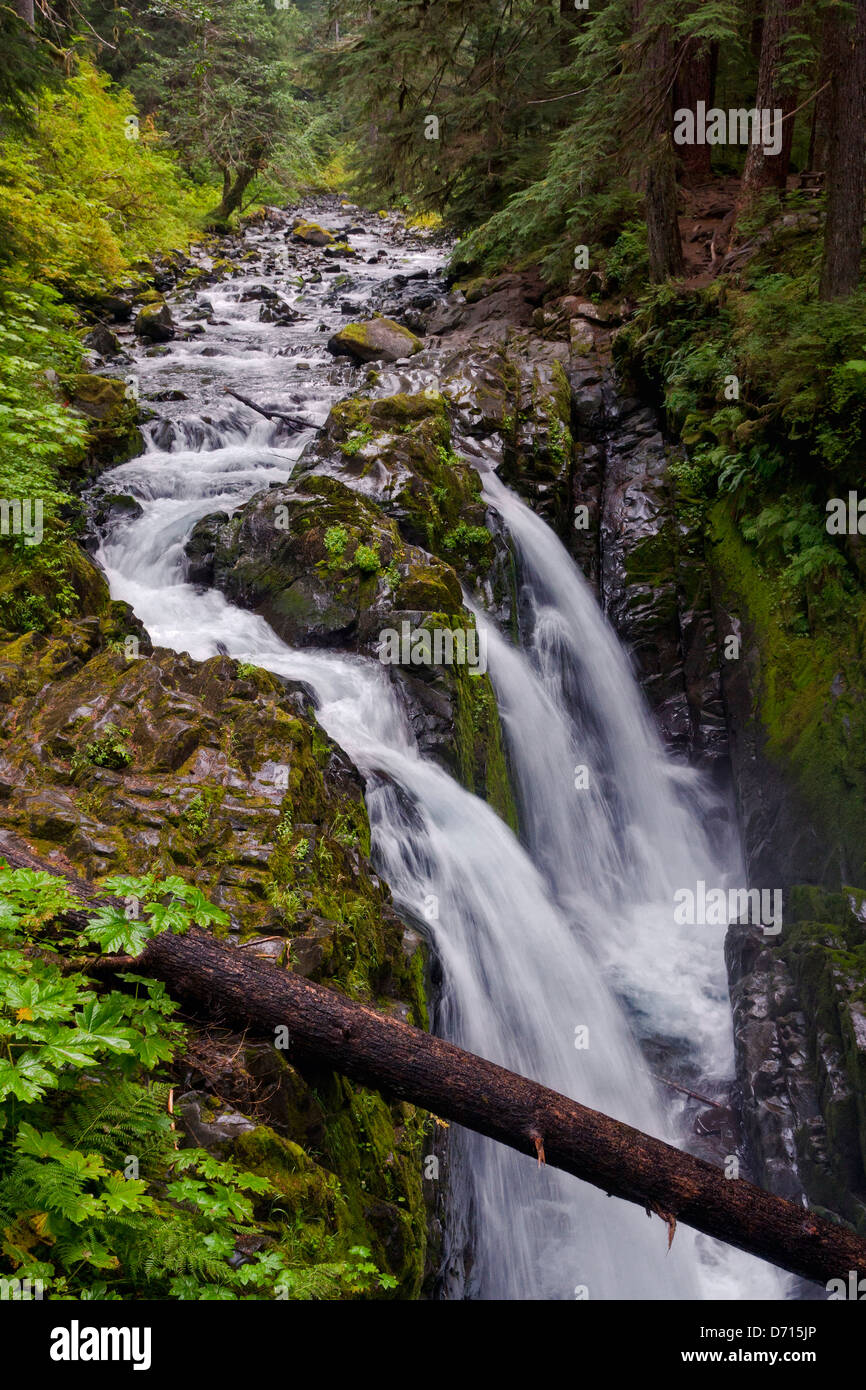 Sol Duc Falls, WA Stock Photo - Alamy