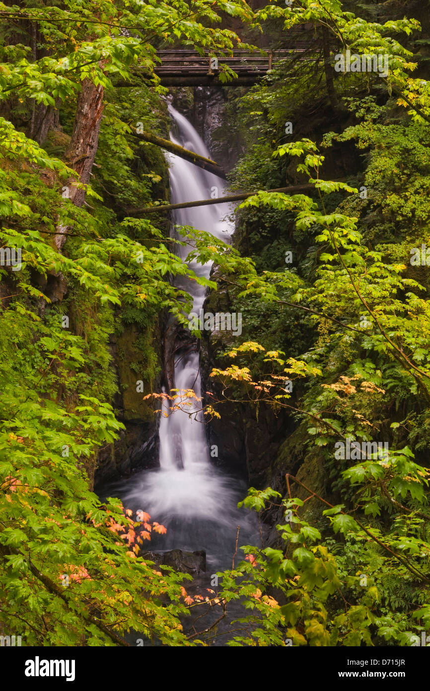 Sol Duc Falls, WA Stock Photo - Alamy