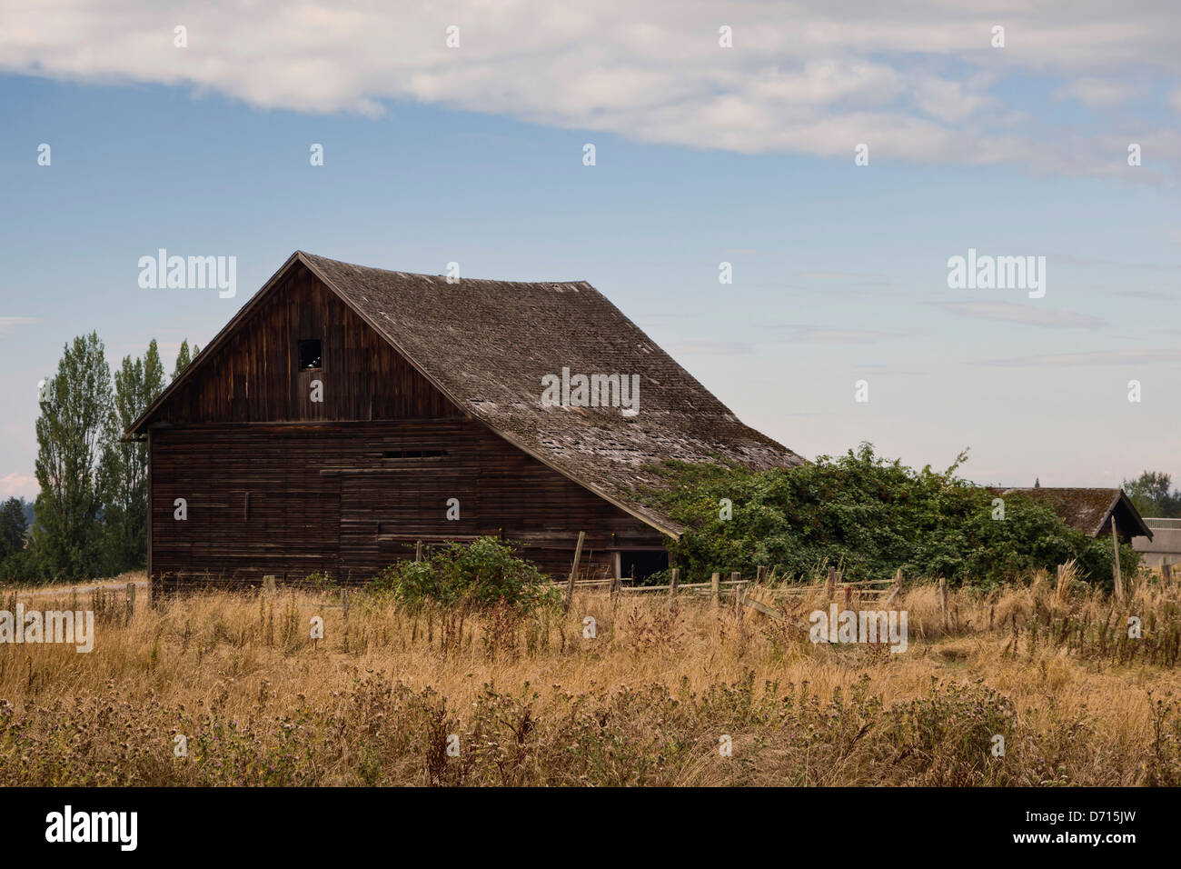 Old Barn at Sequim, WA Stock Photo - Alamy