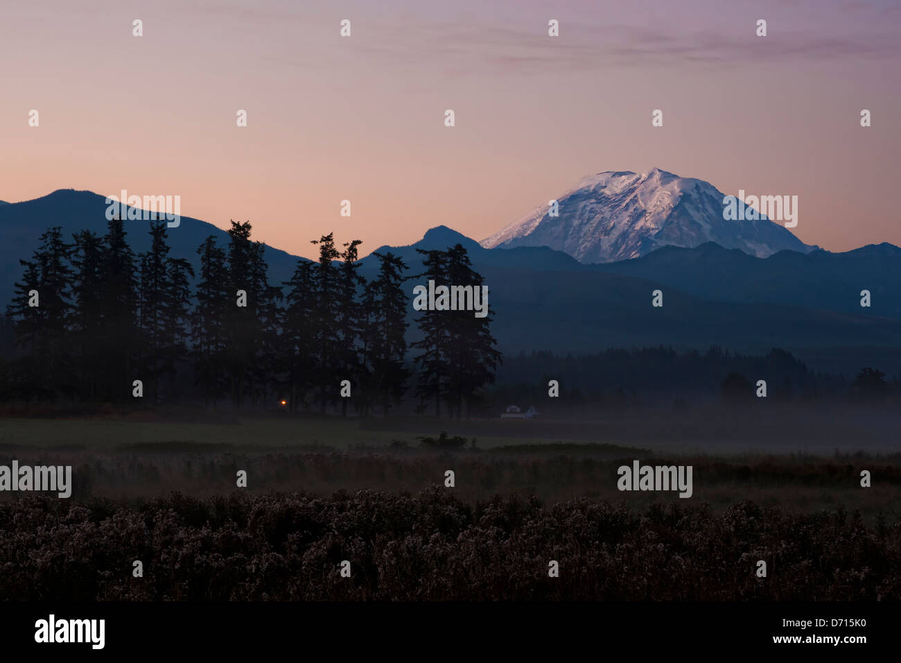 Mt. Rainier before the dawn Stock Photo - Alamy