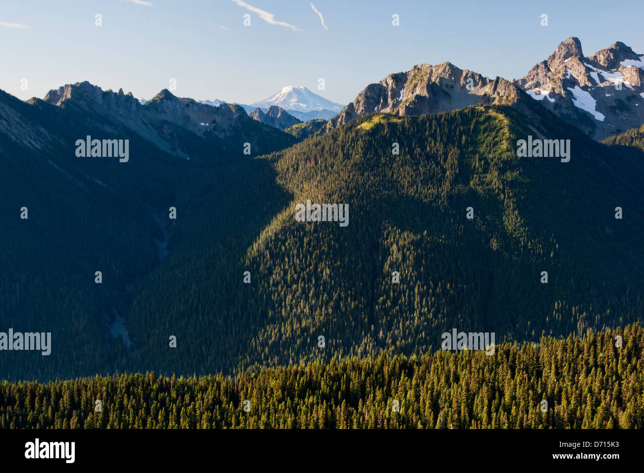 View of Mt. Adams from Sunrise Road Stock Photo - Alamy