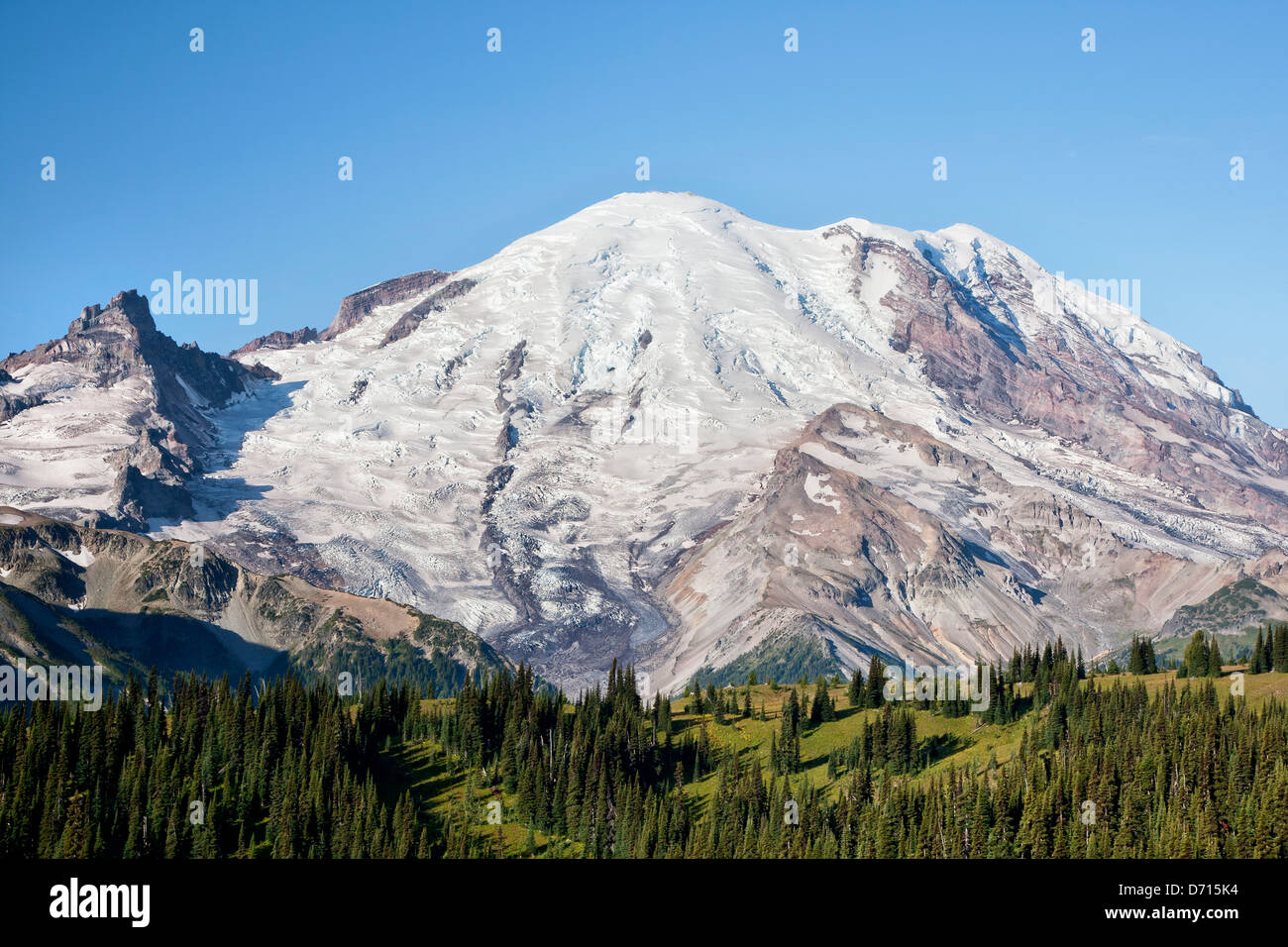 View of Mt. Rainier from Sunrise Stock Photo - Alamy