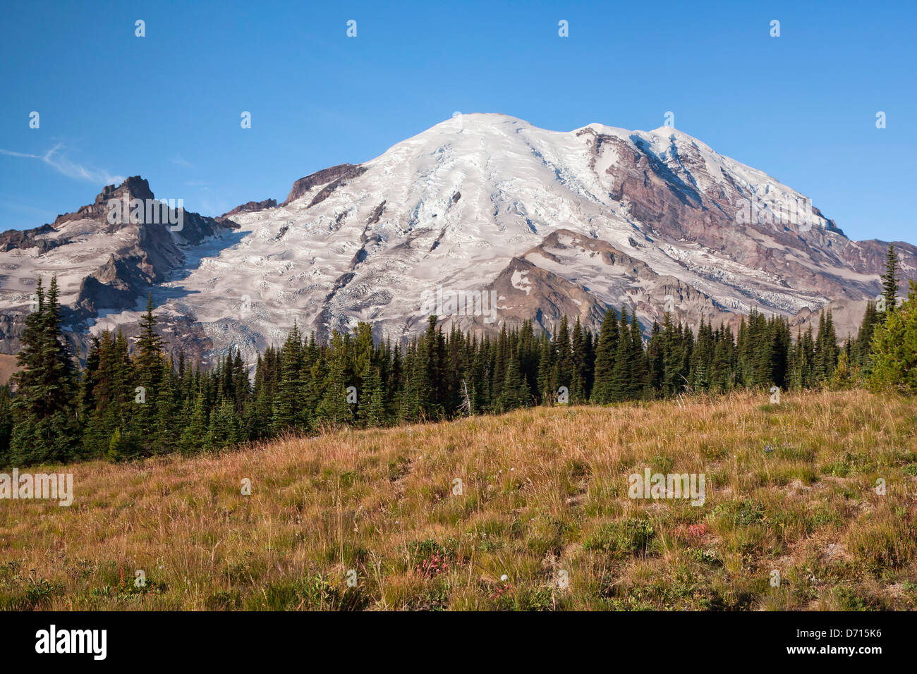 View of Mt. Rainier from Sunrise Stock Photo - Alamy