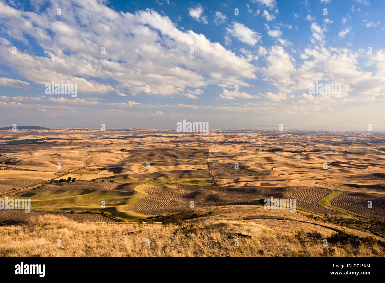View of The Palouse from Steptoe Butte Stock Photo - Alamy