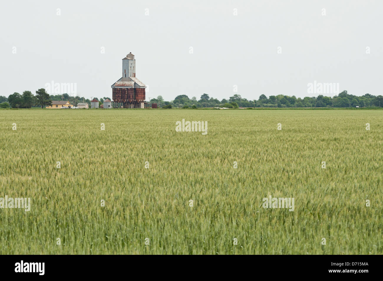 Grain storage on a farm, behind a wheat field Stock Photo - Alamy
