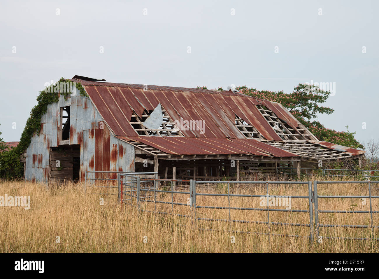 USA, Arkansas, Old barn in field, with corral Stock Photo - Alamy