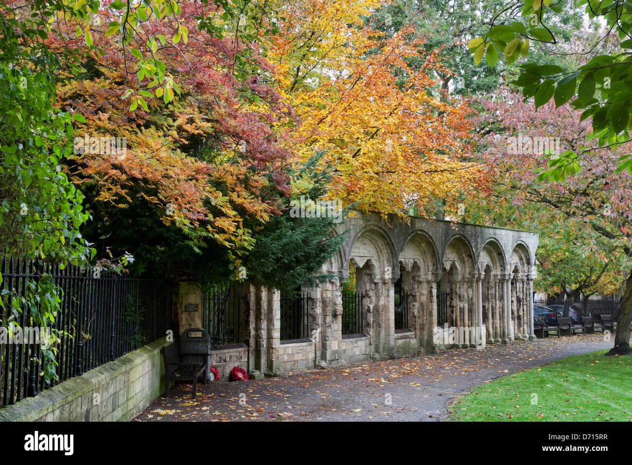 UK, York, Fall color around Yorkminster Stock Photo - Alamy