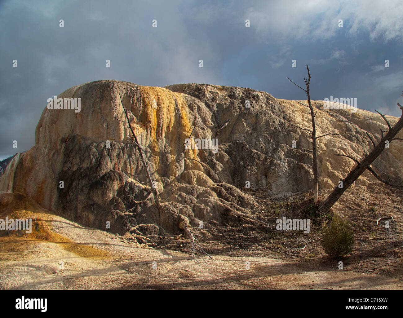 USA, Wyoming, Yellowstone National Park, Elephants Back, Geological ...