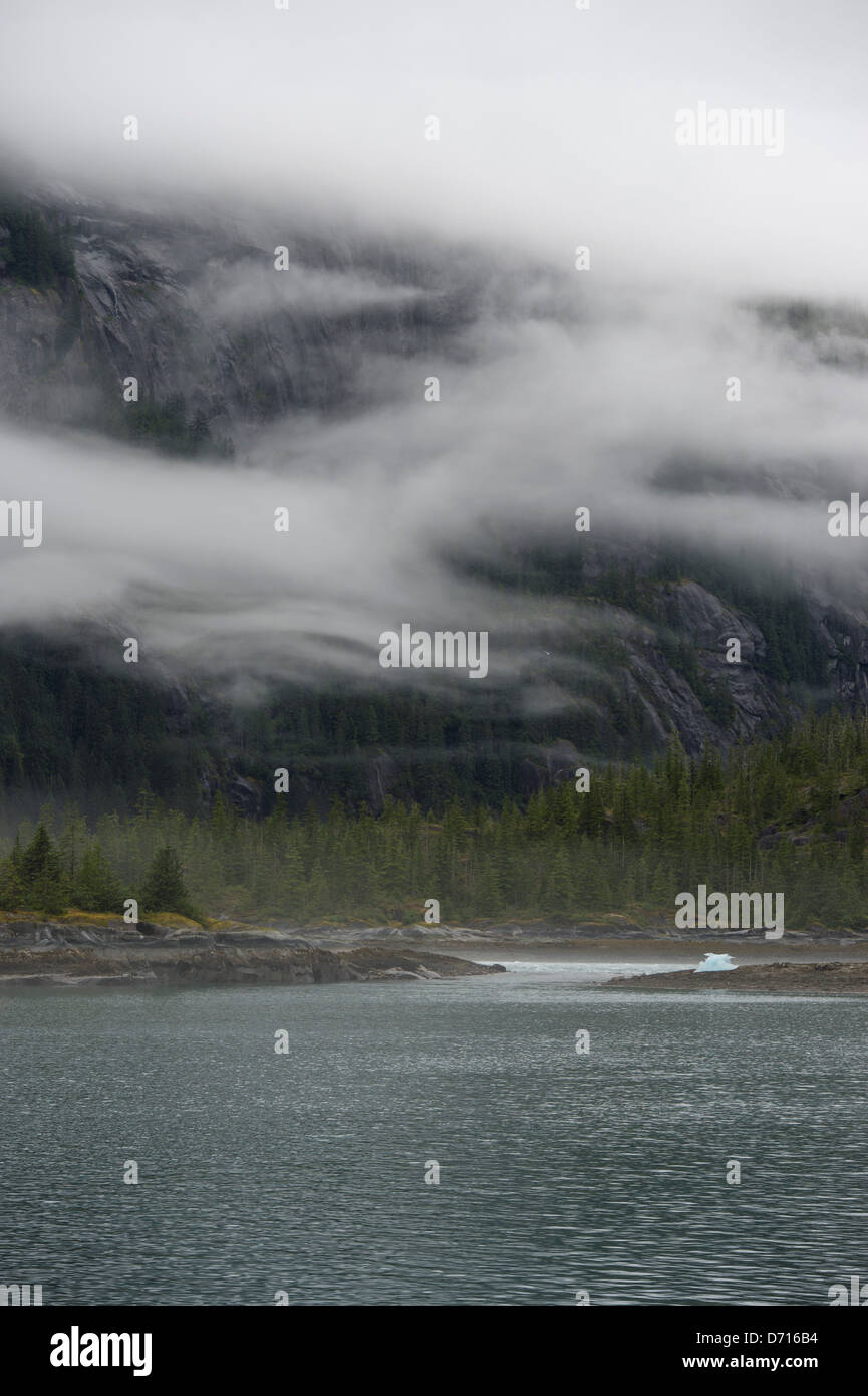 Fog rising out of forest after rain at Fords Terror, Endicott Arm ...
