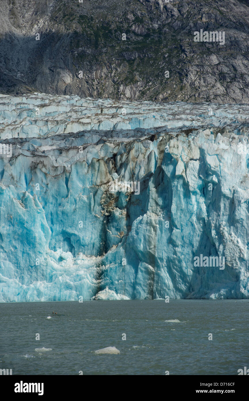 View of the glacier face of the Dawes Glacier, a tidal glacier ...