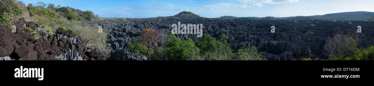 Panoramic view (81 x 13 inches) bizarre razor sharp limestone pinnacles ...