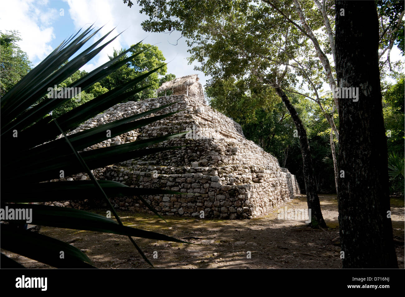 Mexico, Yucatan Peninsula, Near Cancun, Maya Ruins Of Coba, Temple Of ...