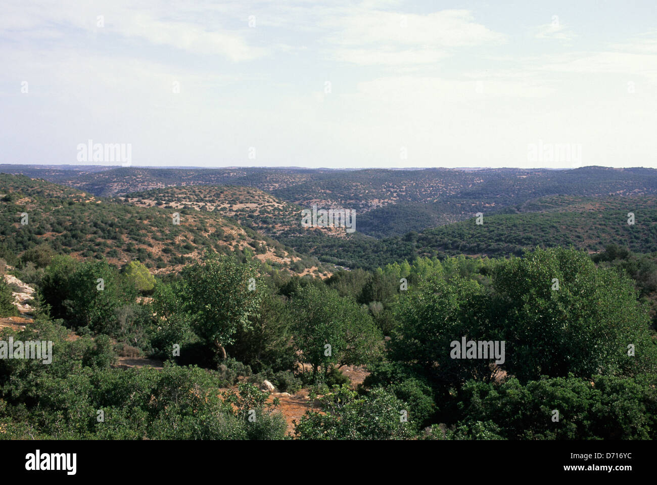 Green mountains of libya hi-res stock photography and images - Alamy