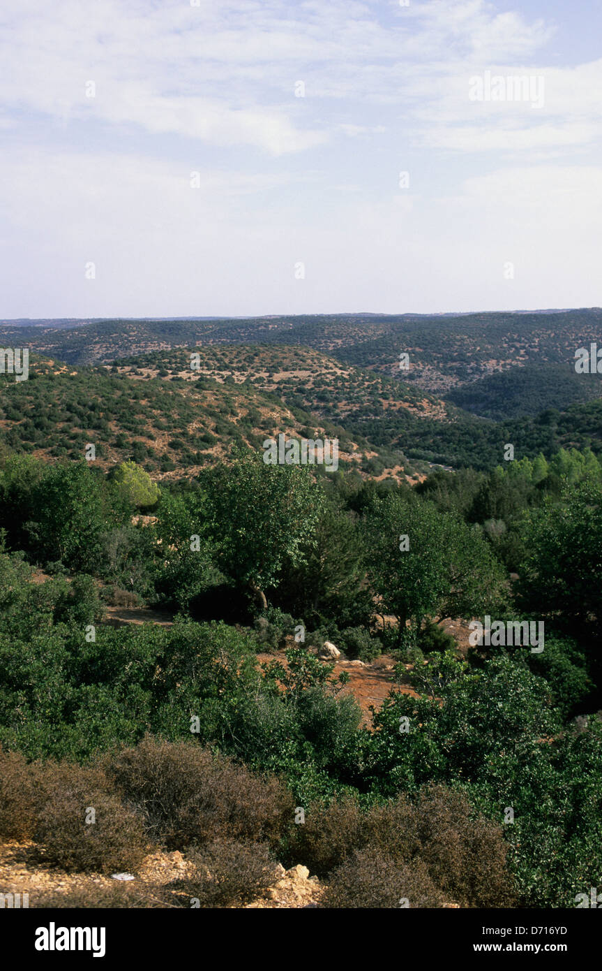 Green mountains of libya hi-res stock photography and images - Alamy