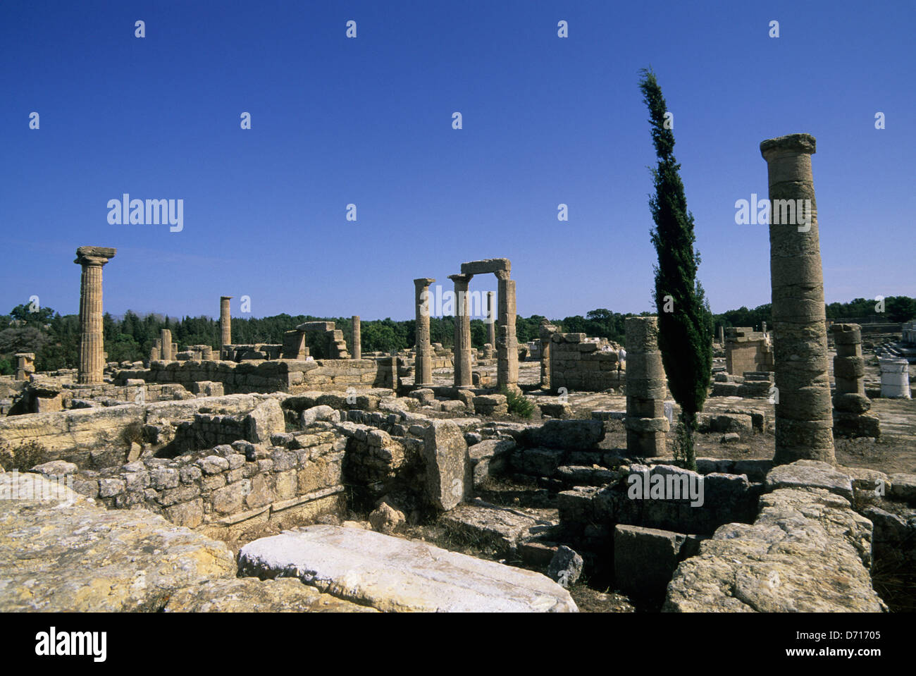 Libya, Near Benghazi, Cyrene, Archeological Site Stock Photo - Alamy
