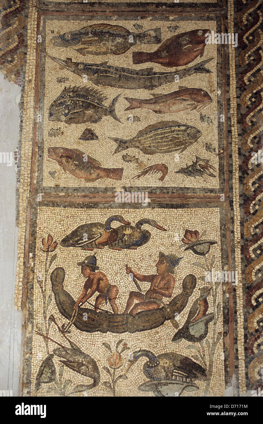 Roman mosaic fish hi-res stock photography and images - Alamy