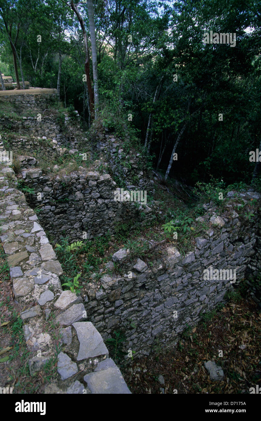 Cuba, Las Terrazas, Biosphere Reserve, Buena Vista Coffee Plantation ...
