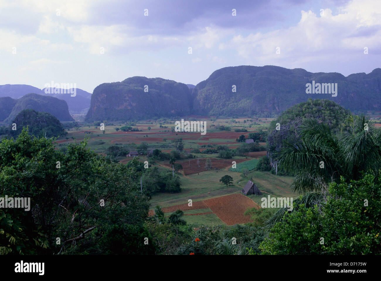 Cuba, Vinales Valley, View Of Fields And Limestone Mountains Stock ...