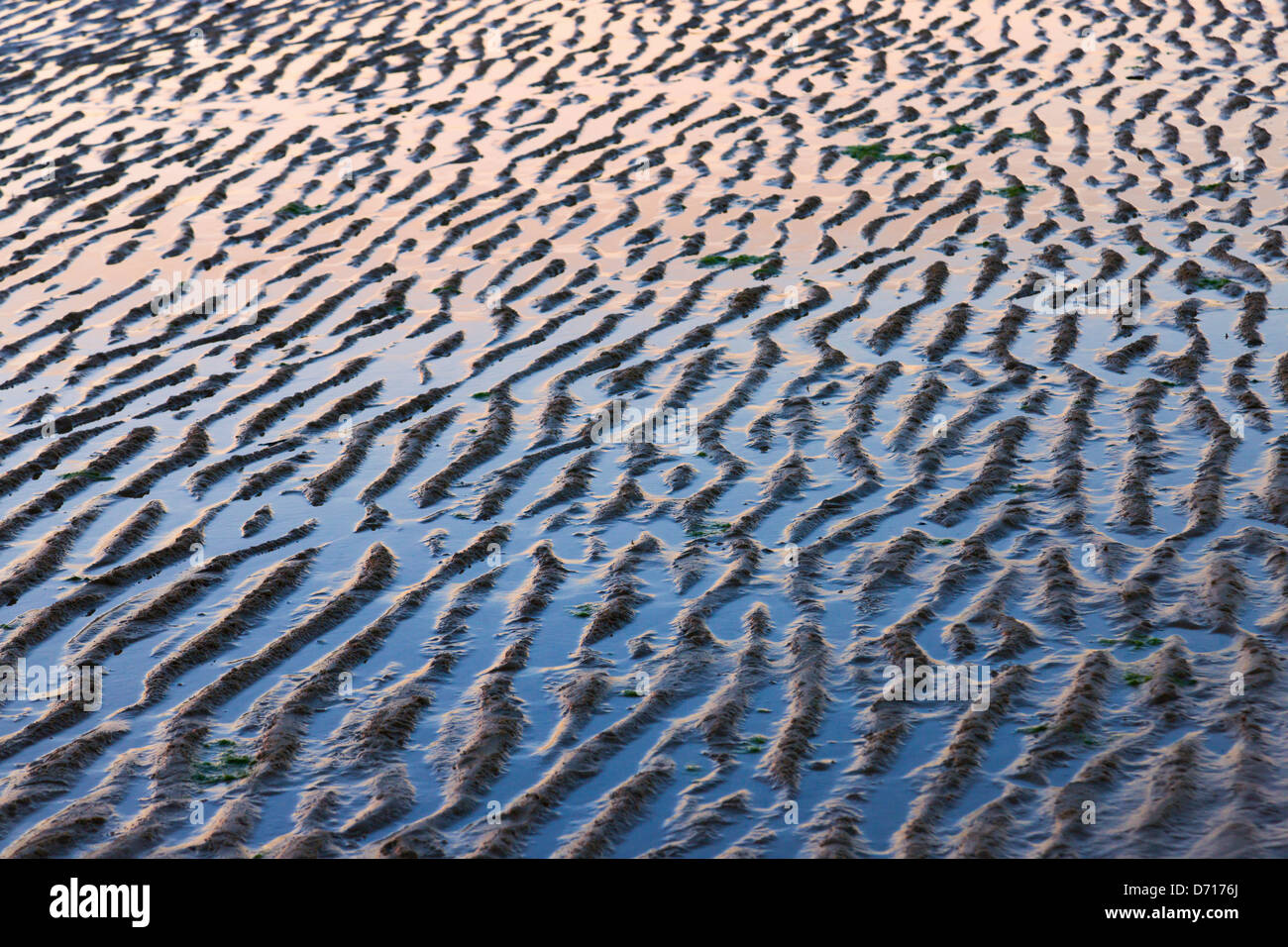 Landscape of ocean at sunset, Morondava, Madagascar Stock Photo - Alamy