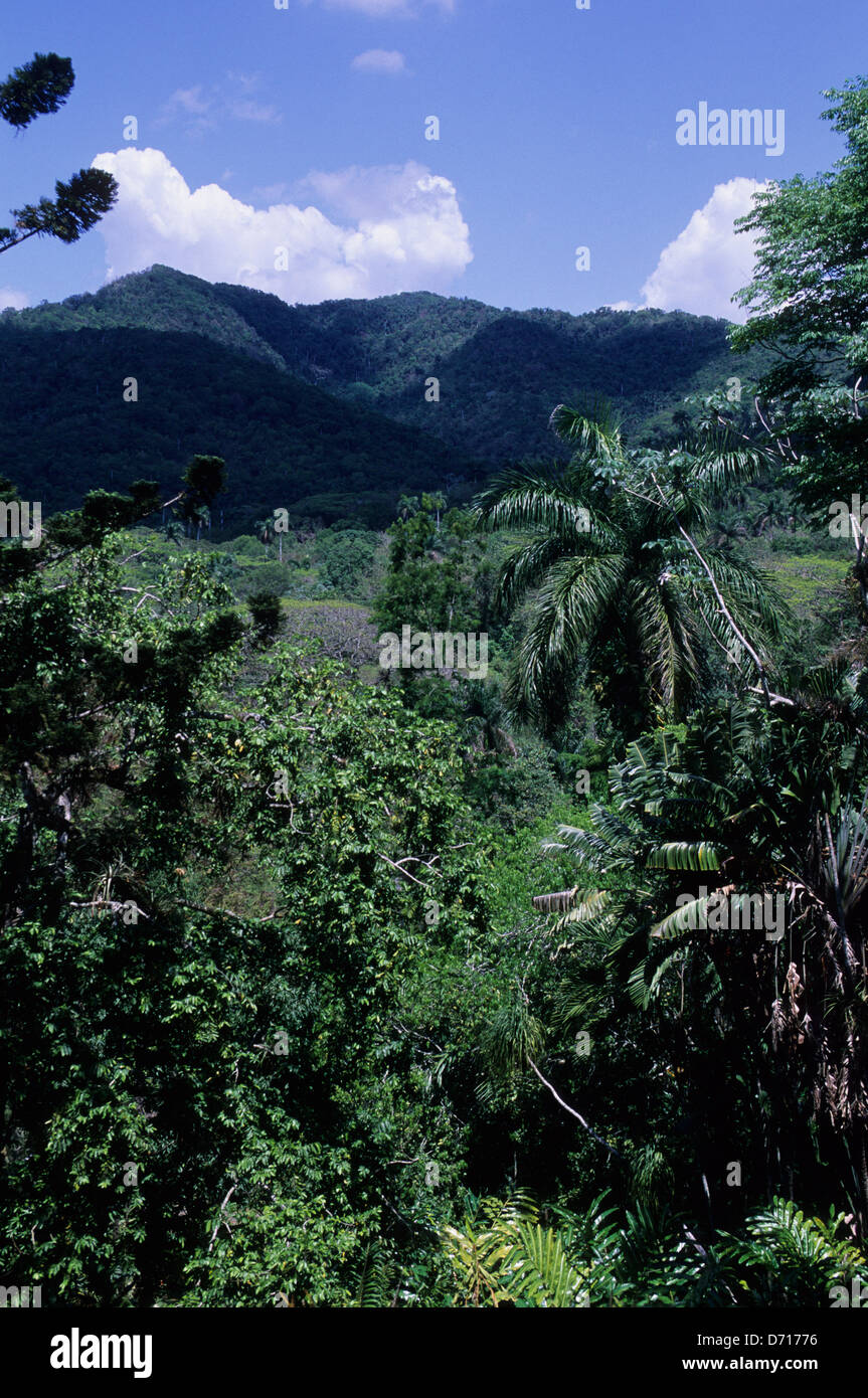 Soroa orchid botanical garden hi-res stock photography and images - Alamy