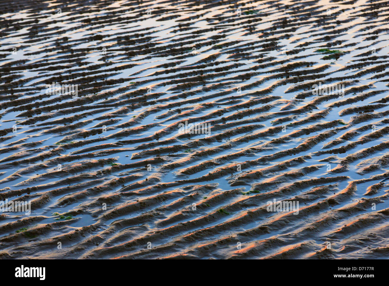 Landscape of ocean at sunset, Morondava, Madagascar Stock Photo - Alamy