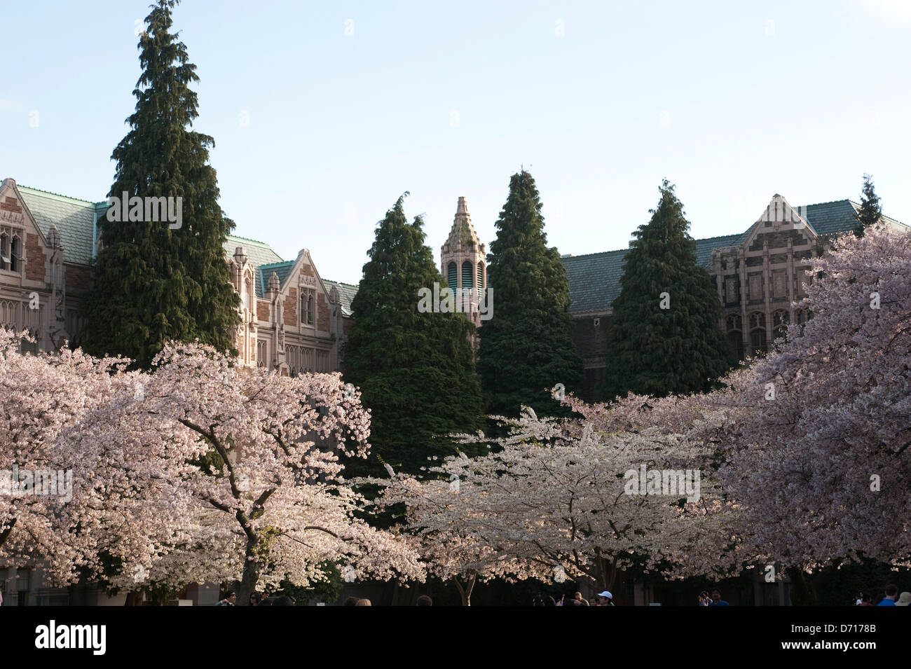 USA, Washington State, Seattle, University Of Washington Campus, The ...