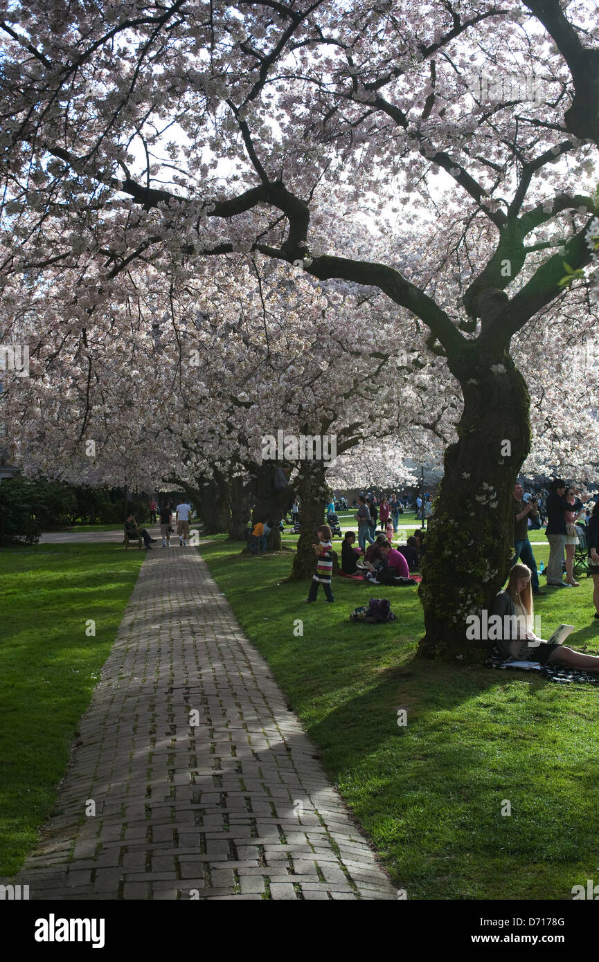 USA, Washington State, Seattle, University Of Washington Campus, The ...