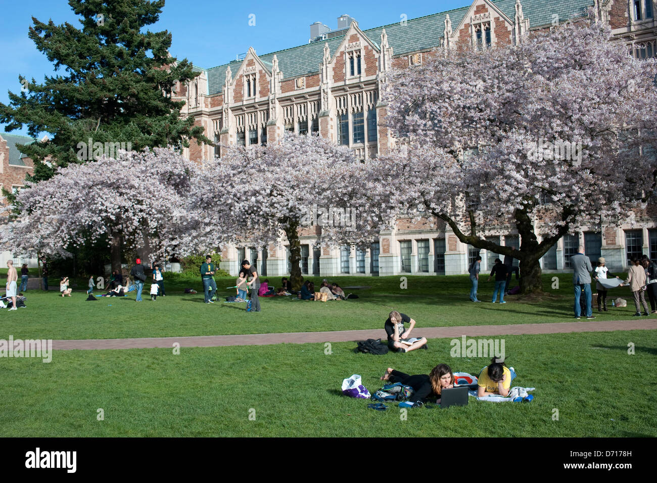 USA Washington State Seattle University Washington Campus The Quad ...