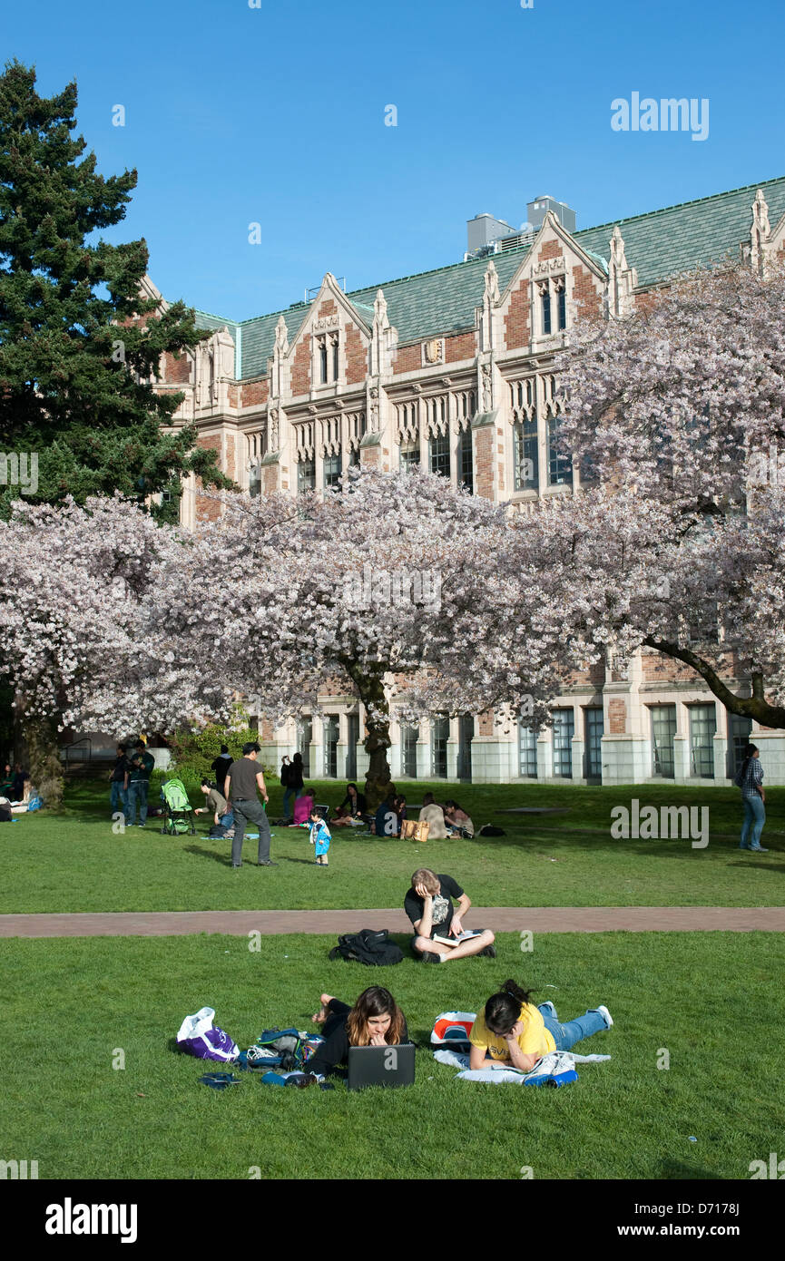USA Washington State Seattle University Washington Campus The Quad ...
