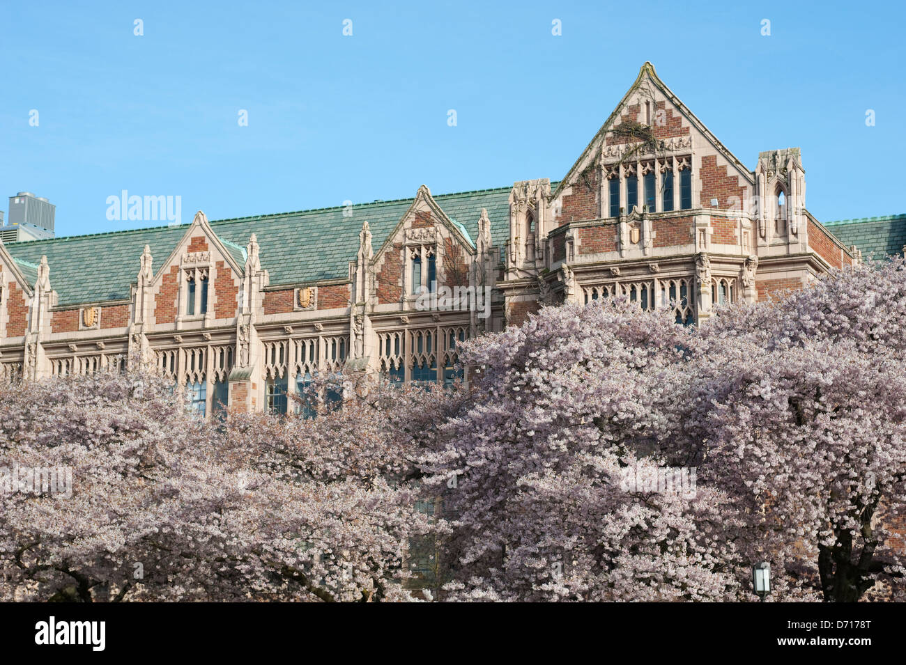 USA, Washington State, Seattle, University Of Washington Campus, The ...