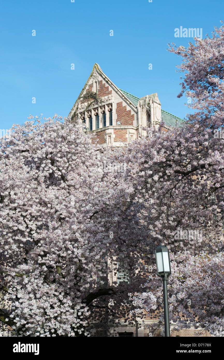 USA, Washington State, Seattle, University Of Washington Campus, The ...