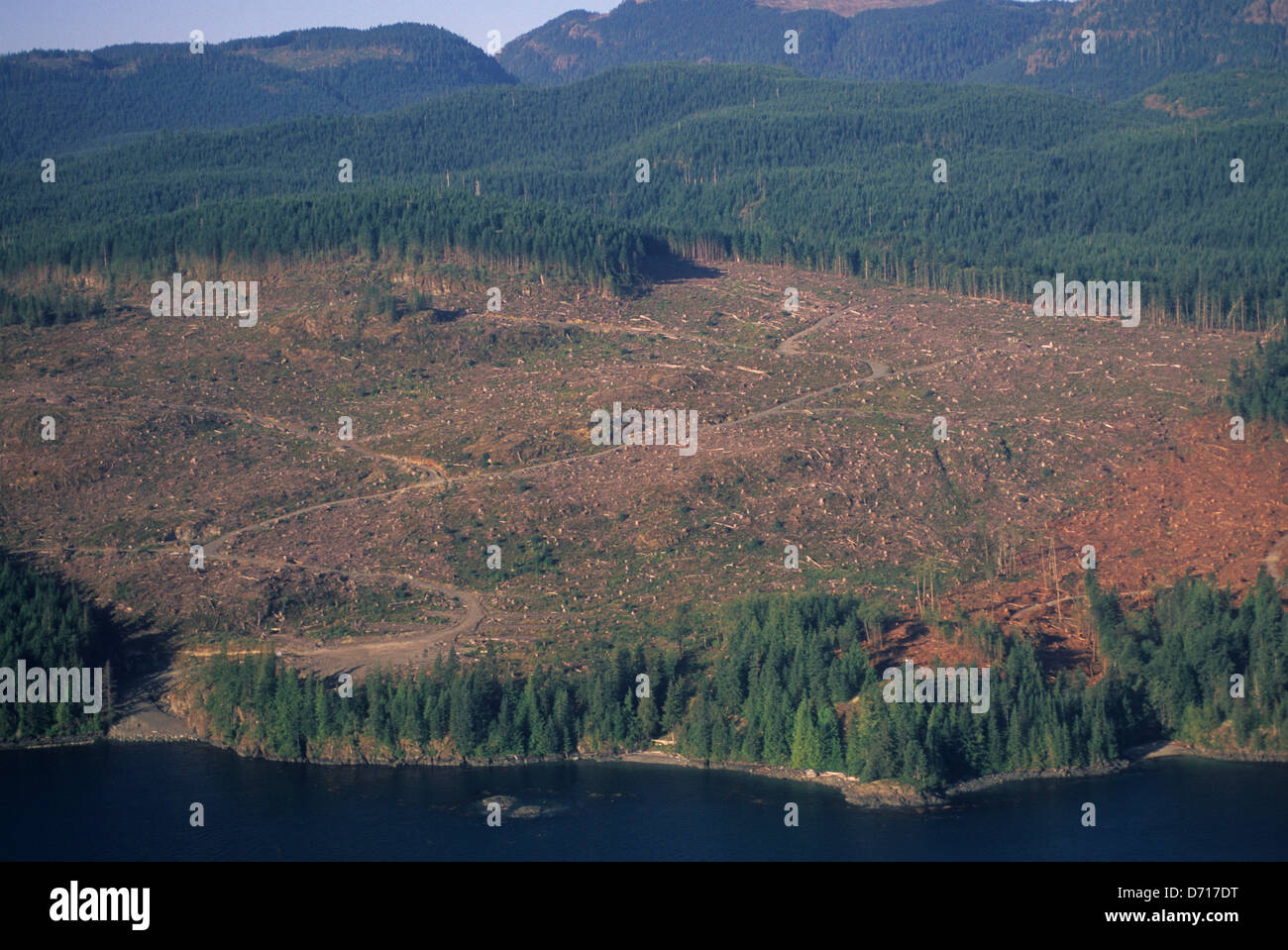 Logging river british columbia hi-res stock photography and images - Alamy
