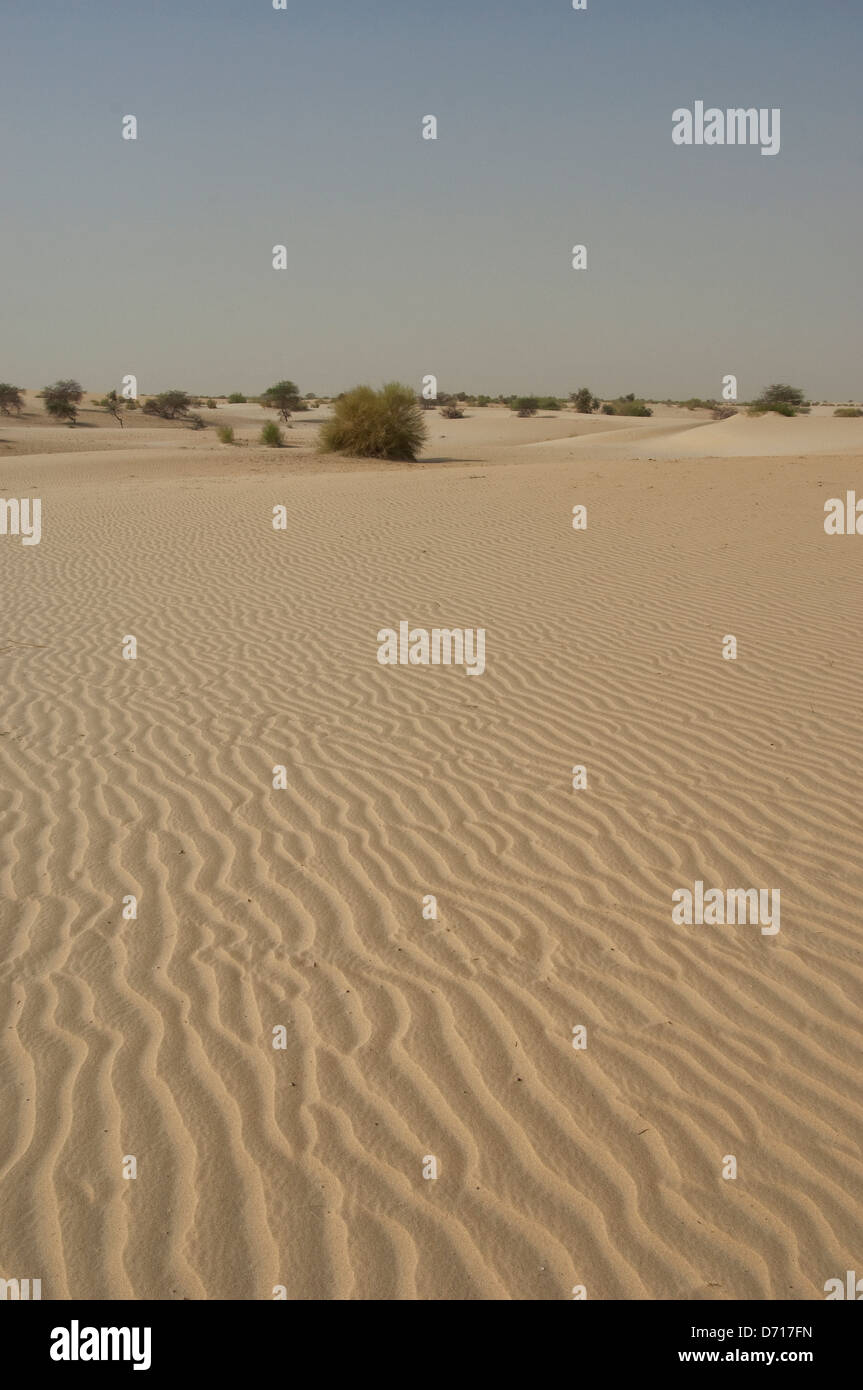 Mali, Near Timbuktu, Sahara Desert, Sand Stock Photo - Alamy