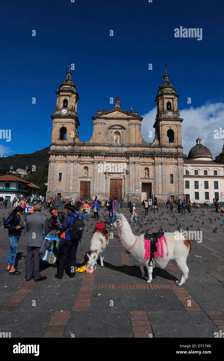 People Offering Llama Rides Children On Plaza De Bolivar In La ...