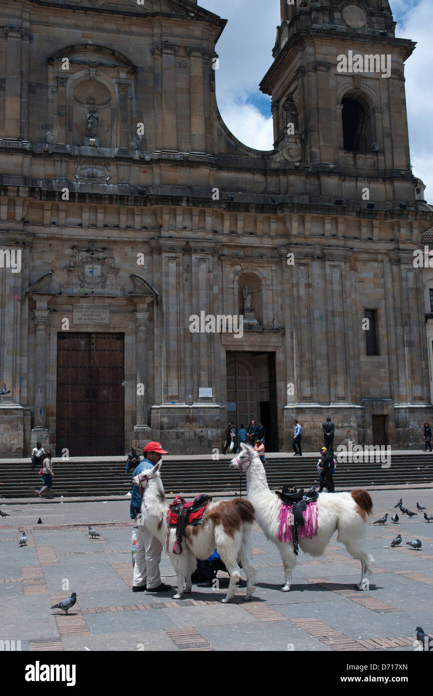 People Offering Llama Rides Children On Plaza De Bolivar In La ...