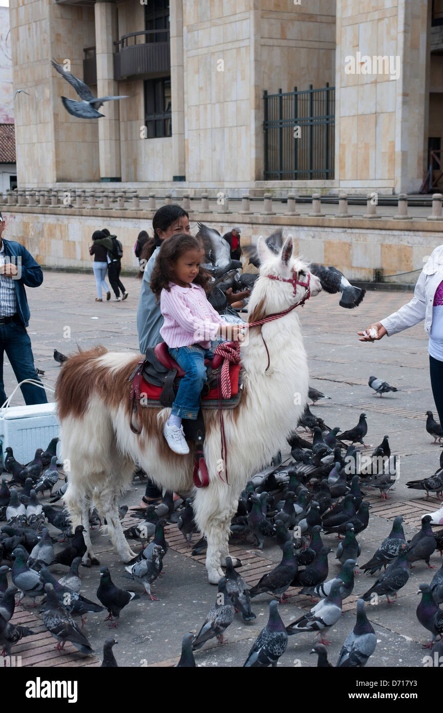 Girl Riding On Llama On Plaza De Bolivar In La Candelaria, The Old Town ...