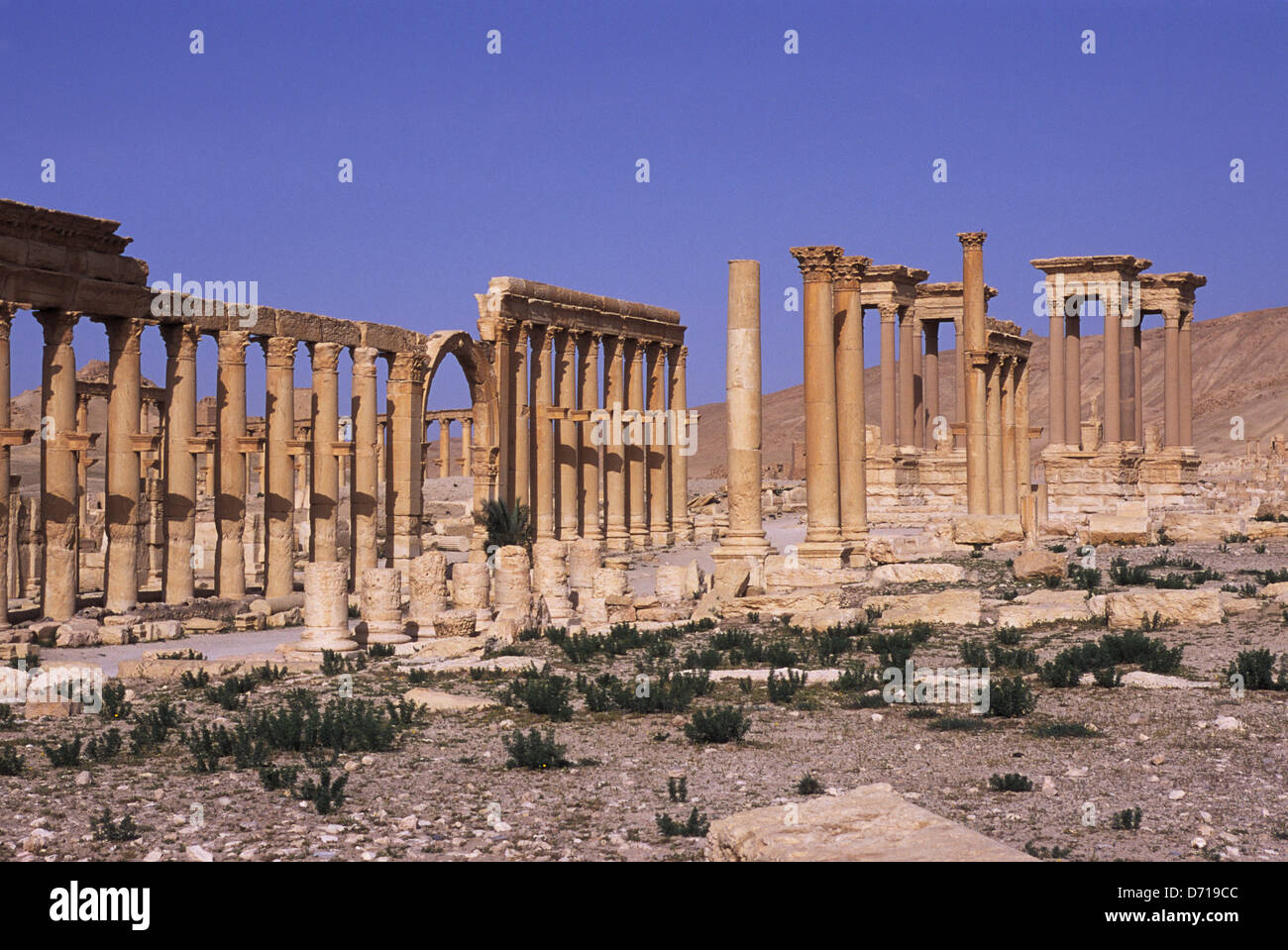 Syria, Palmyra, Ancient Roman City, Colonnaded Street,(The Great ...