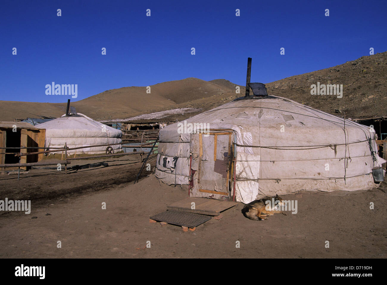 Mongolia,Near Ulaanbaatar, Mongolian Grassland In Winter, Steppes, Yurt Or Ger, Traditional Tent ...