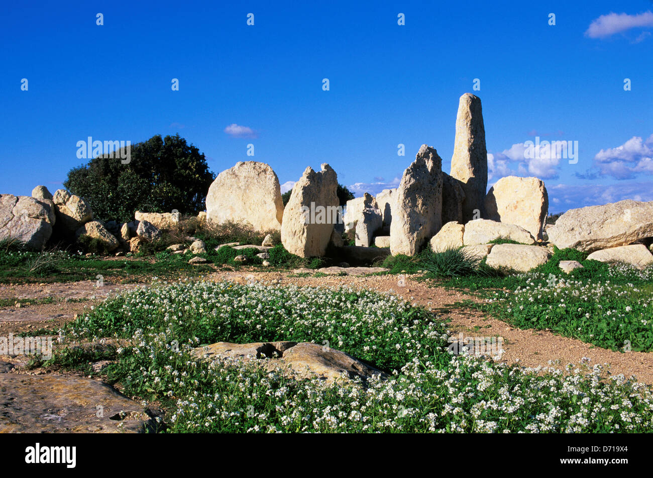 Malta, Hagar Qim Temple, 2700 B.C., Flowers Stock Photo - Alamy