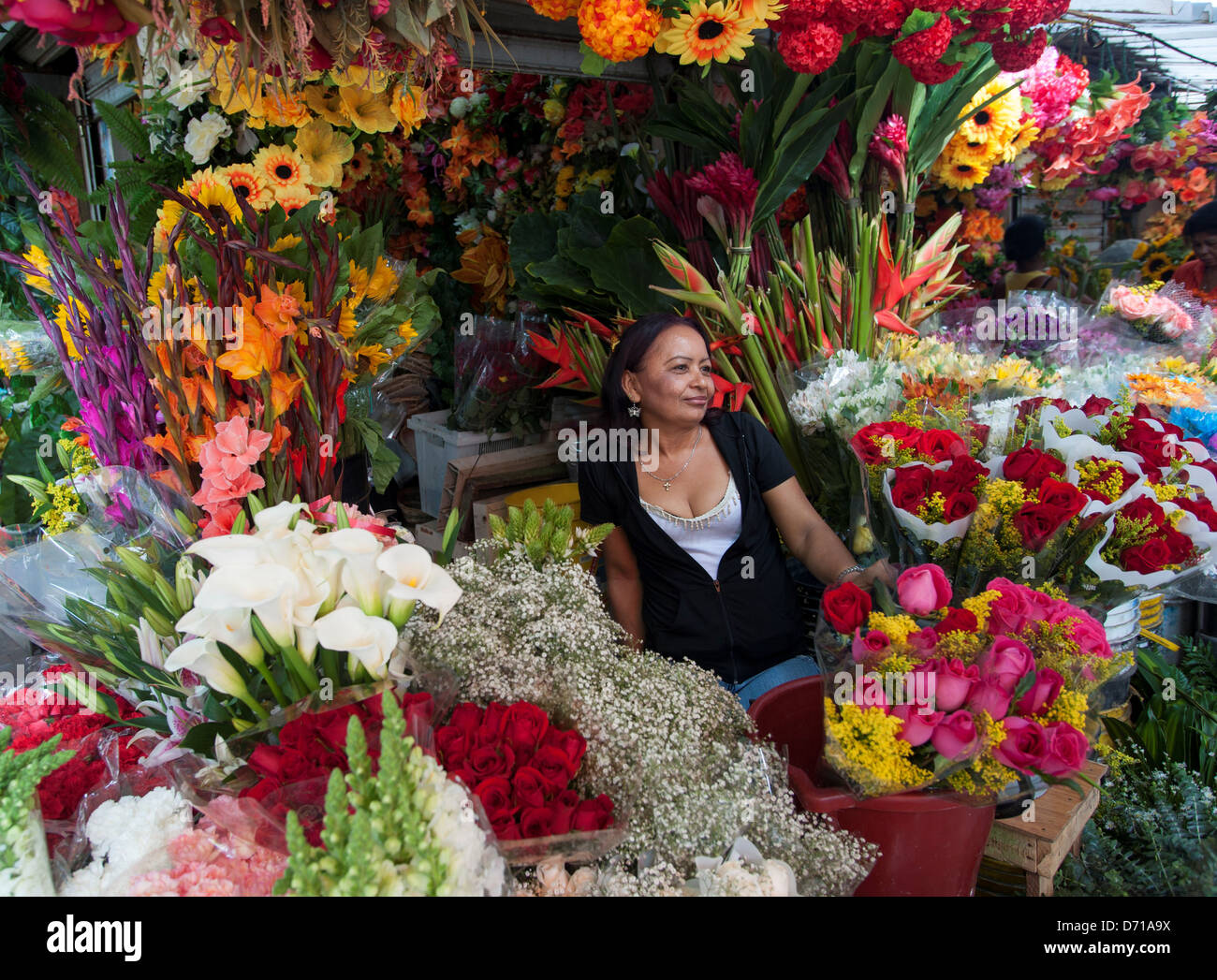 Stand flower hi-res stock photography and images - Alamy