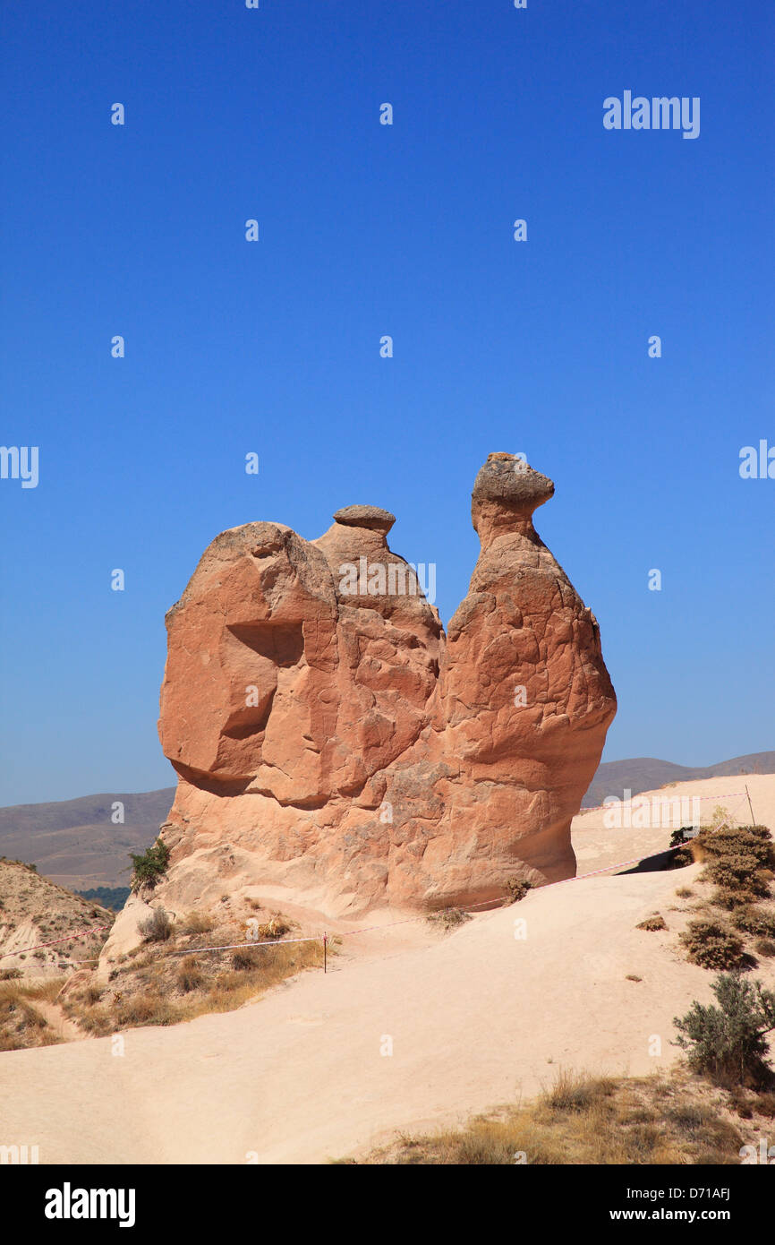 Camel turkey cappadocia hi-res stock photography and images - Alamy