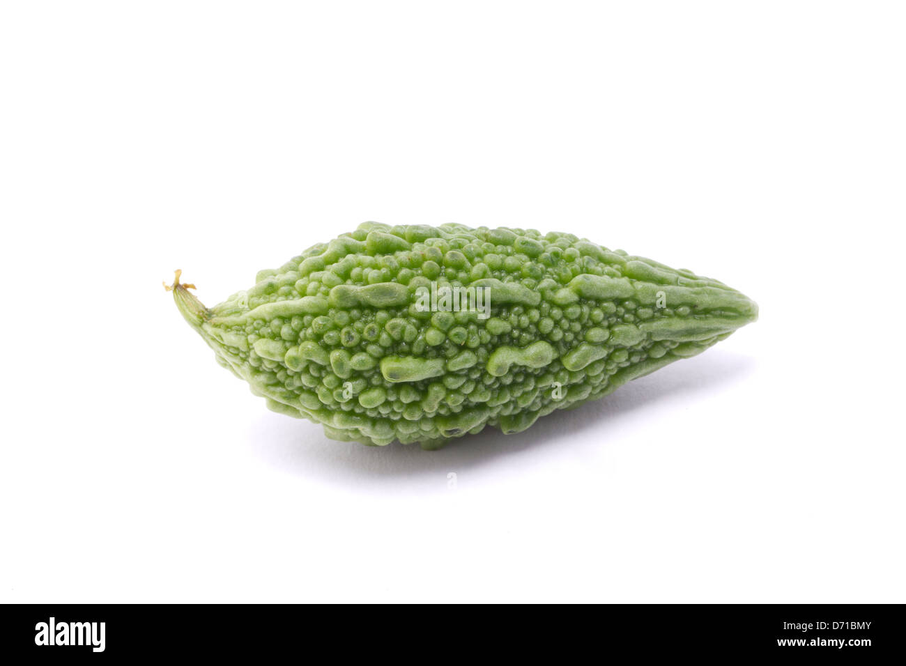 Bitter Cucumber, Herbal Plant Isolated on White Background Stock Photo ...