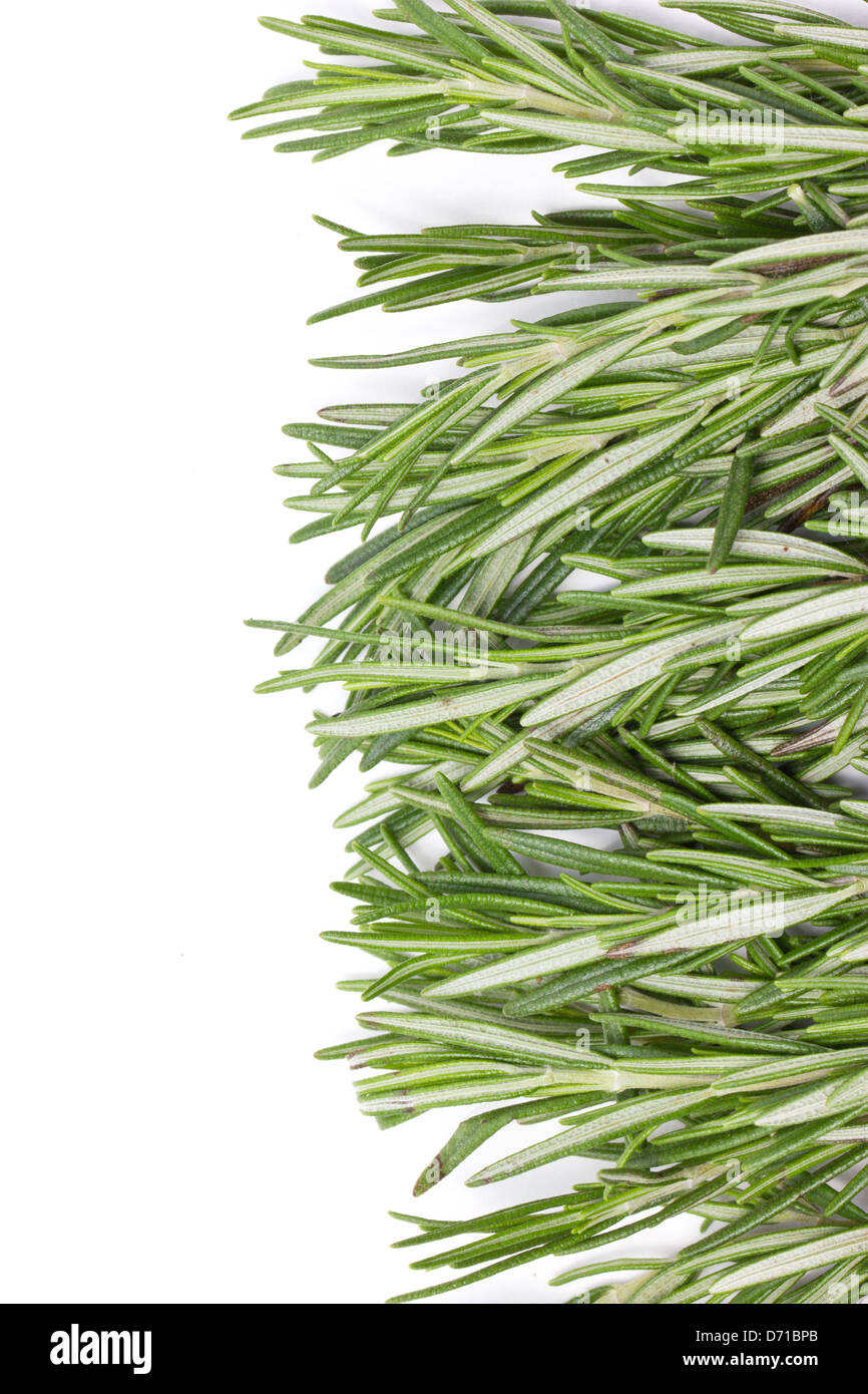 Rosemary Herbal Frame Stock Photo - Alamy
