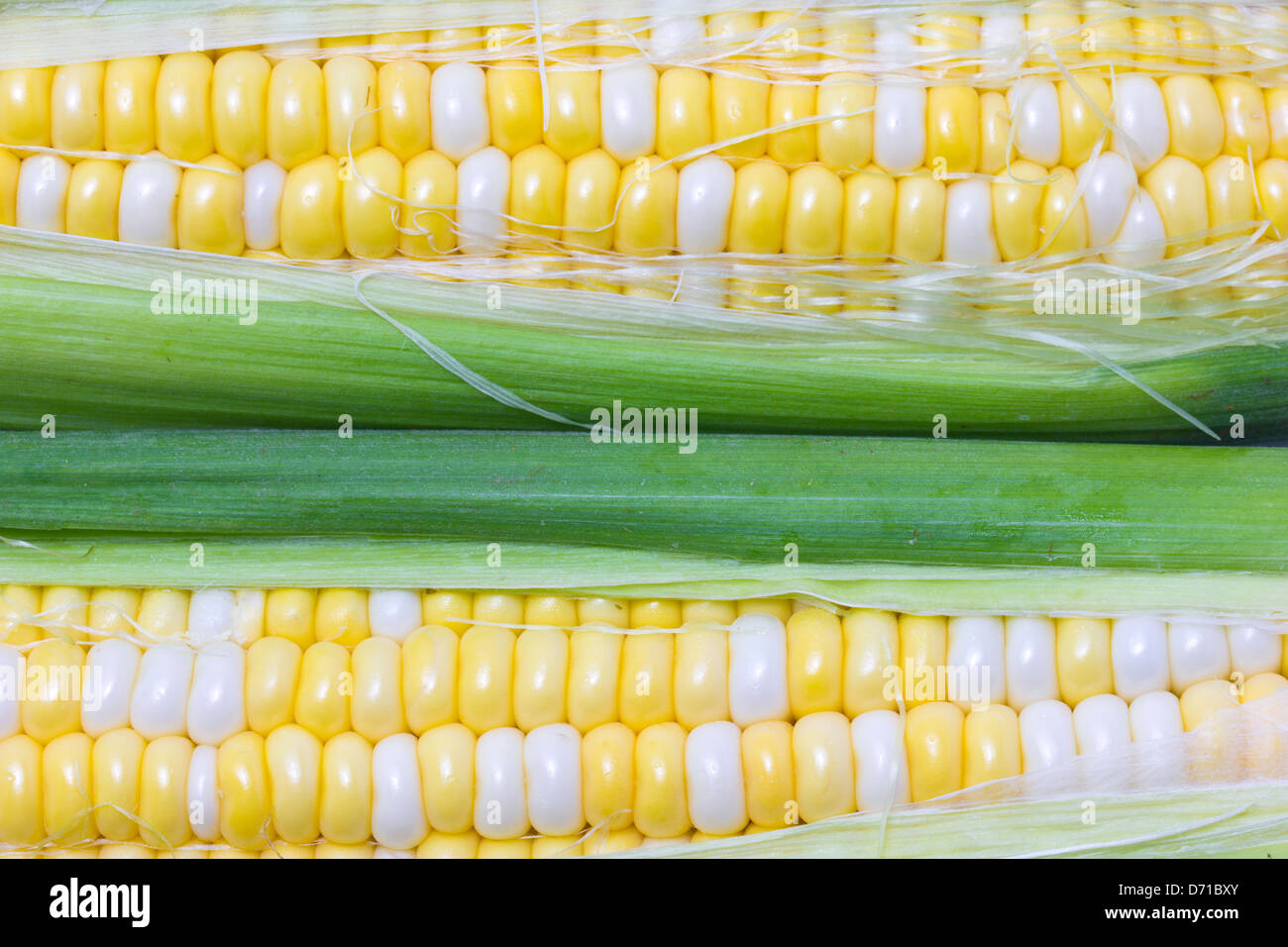Sweetcorn silk hi-res stock photography and images - Alamy