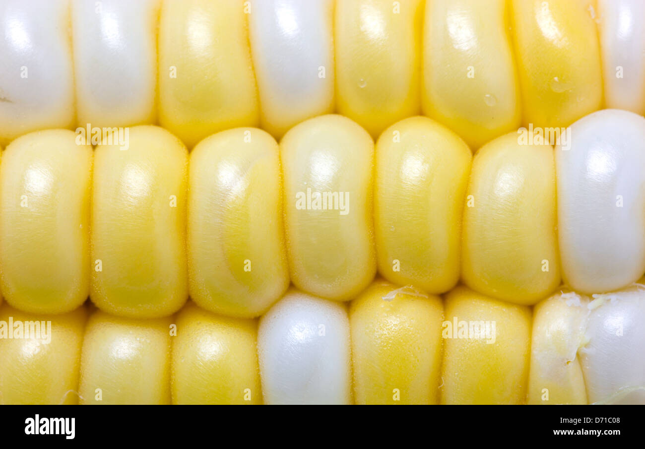 Close up of Sweetcorn Stock Photo - Alamy